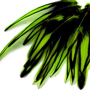 Rooster Feathers, 10 Pieces - Lime Green Dyed BLW Laced Long Rooster ...