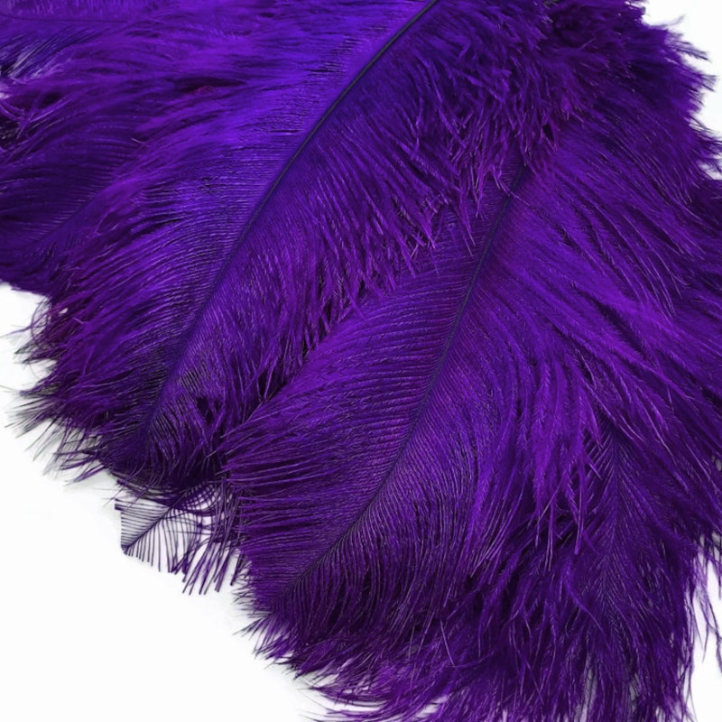 Purple Ostrich Feathers - Etsy
