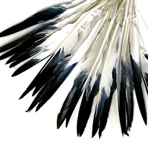 Goose Feather, 10 Pieces - White Tipped Black Goose Pointers Long ...