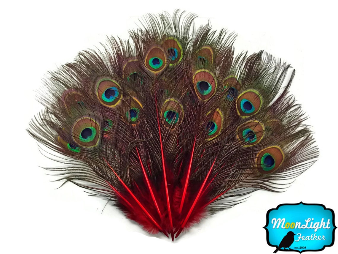 USA Peacock Feathers10 Pieces RED MINI Natural Peacock Tail | Etsy