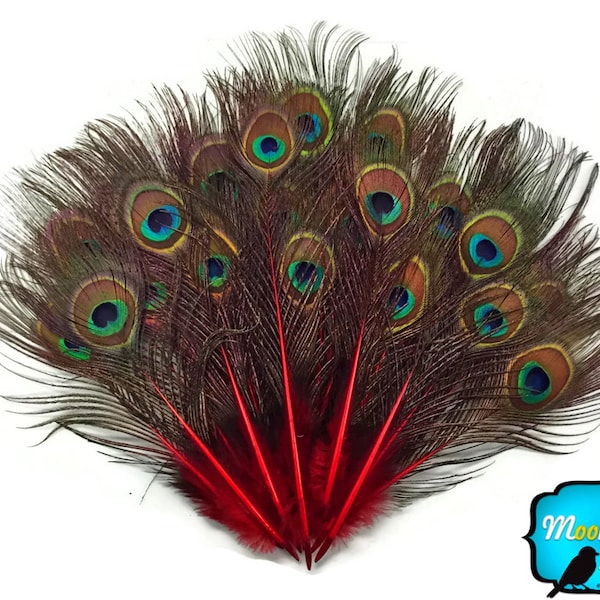 Red Peacock Feathers - Etsy