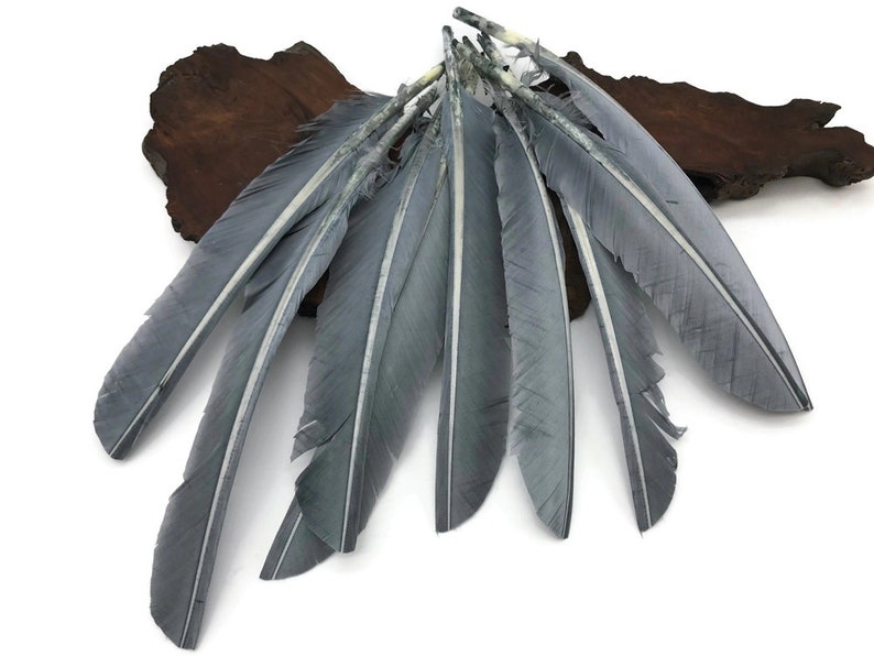 Harry Potter Feathers 6 Pieces Silver Gray Turkey Pointers - Etsy