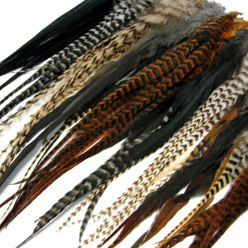 Rooster Feather - Etsy