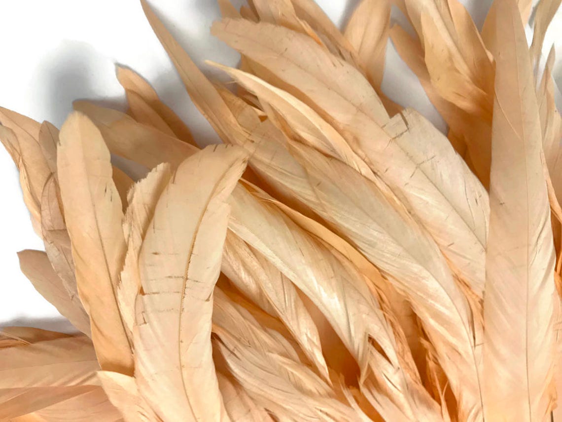 Rooster Tail Feathers 1 Yard 10-12 Champagne Bleach | Etsy