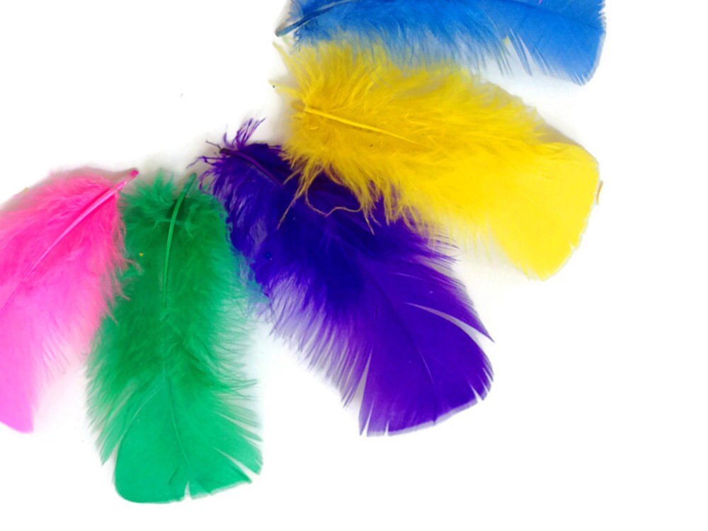 Wholesale Turkey Feathers 1/4 lbs Bright Mix Turkey T-Base | Etsy