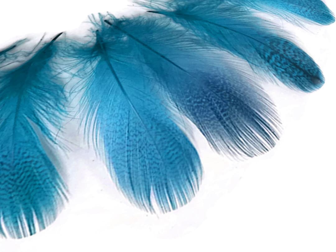 1 Pack - Turquoise Blue Mallard Duck Flank Feathers 0.10 Oz. Fly Tying ...