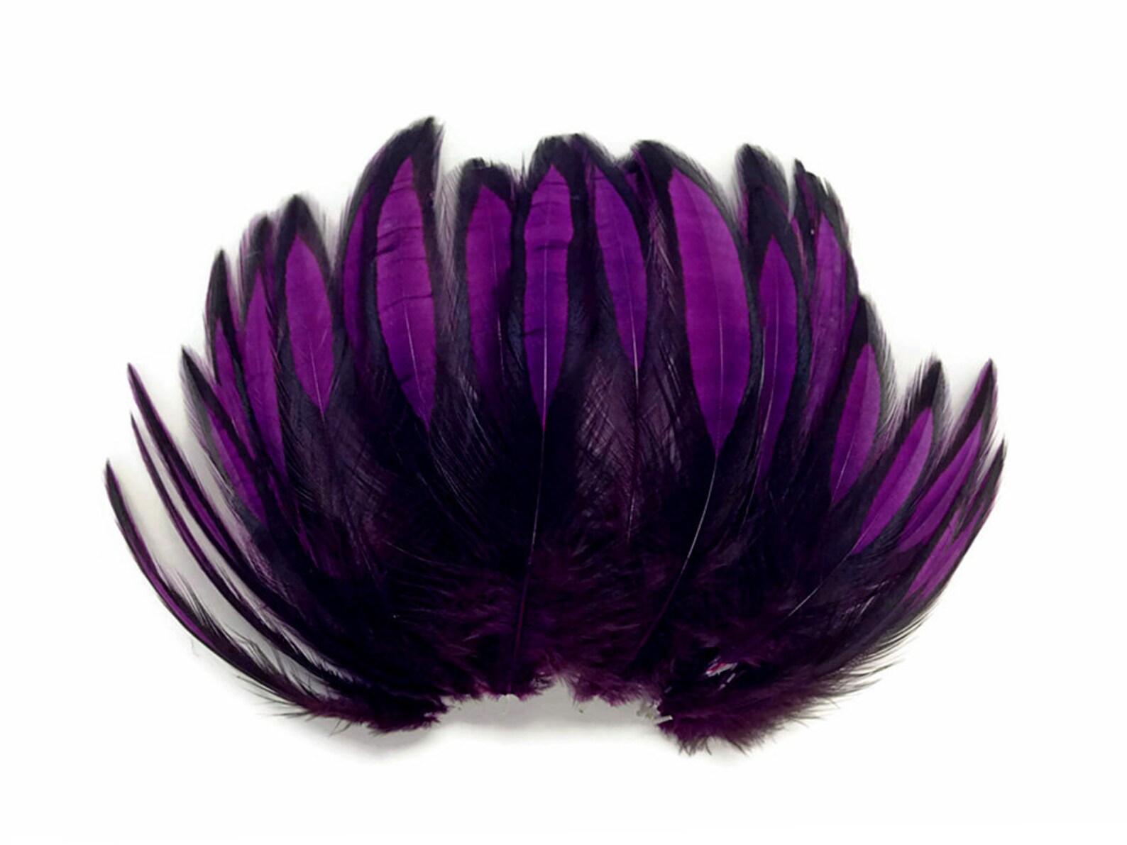 Laced Hen Feathers 1 Dozen Purple BLW Whiting Laced Hen - Etsy