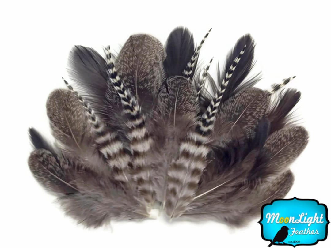Chicken Feathers, 2 Dozen - MIX NATURAL Brahma Hen Loose Feather : 3267 ...