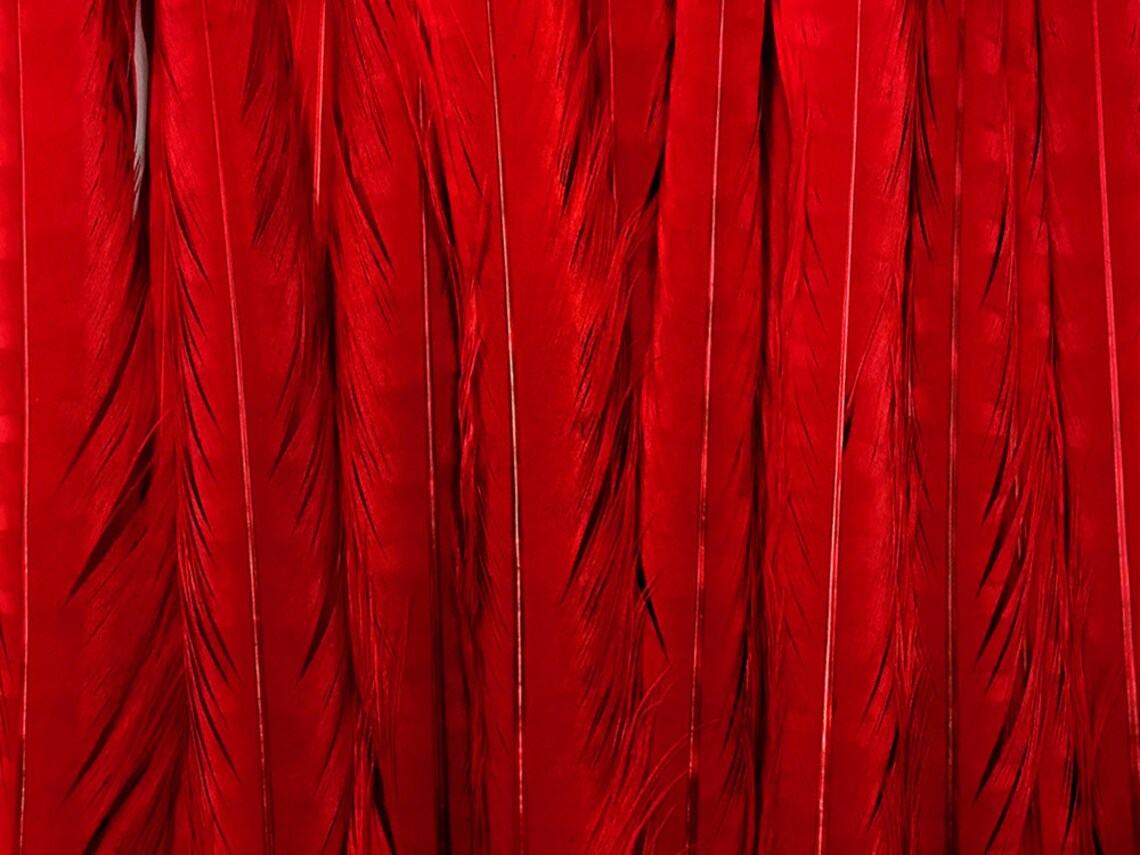 Feather Supply 50 Pieces 20-22 Red Bleached and Dyed - Etsy