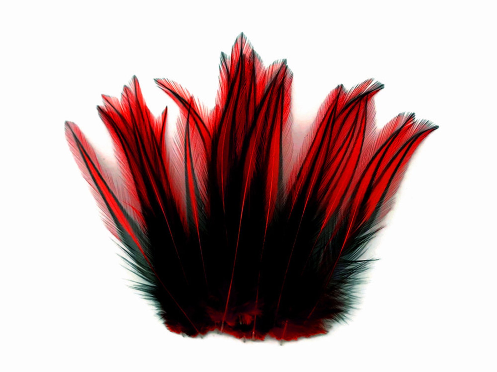 Red Laced Pointy Feathers, 10 Pieces - Red Dyed BLW Laced Long Rooster ...