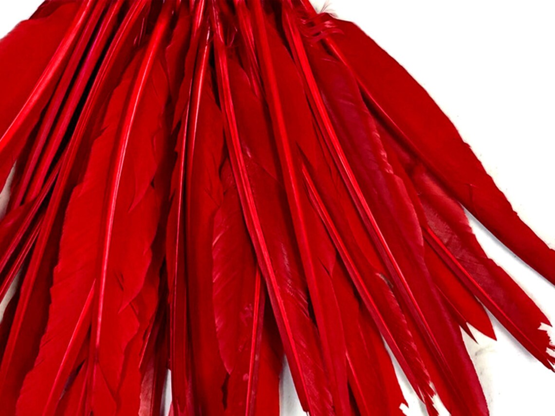 Goose Feathers 1/4 Lb. Red Goose Pointers Long Primaries - Etsy