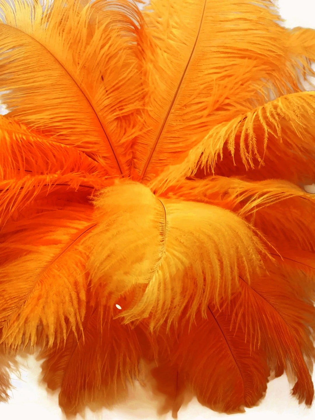 200 Feathers - 9-13" Orange Ostrich Drab Body Plumage Wholesale ...