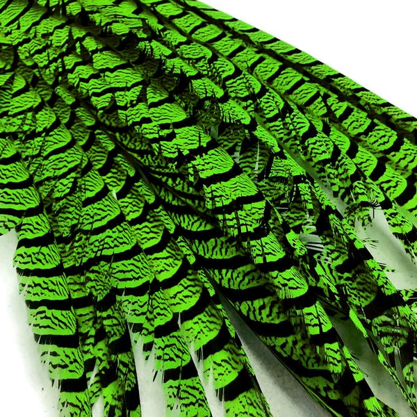 Lime Green Zebra - Etsy