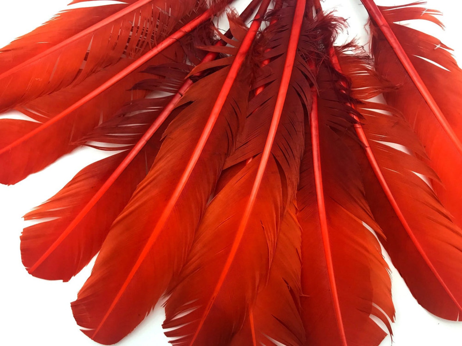 Eagle Feathers 6 Pieces FIERY RED Ombre Turkey Rounds | Etsy