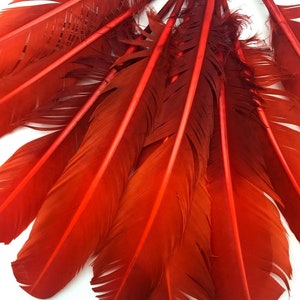 Eagle Feathers, 6 Pieces - FIERY RED Ombre Turkey Rounds Secondary Wing ...