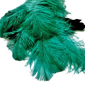10 Pieces - 18-24" Teal Green Large Prime Grade Ostrich Wing Plume ...