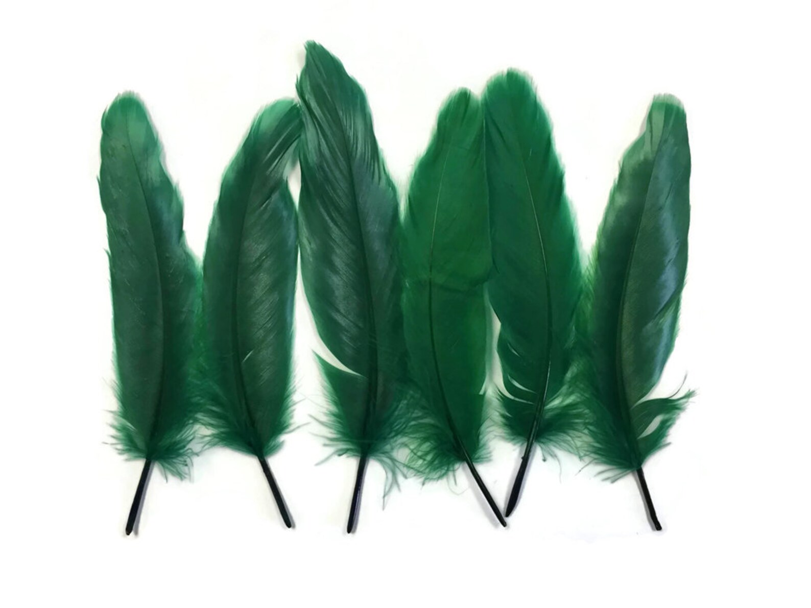 Goose Feathers 1 Pack Hunter Green Goose Satinettes Loose | Etsy