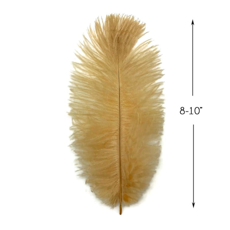 Antique Feather Headpiece - Etsy