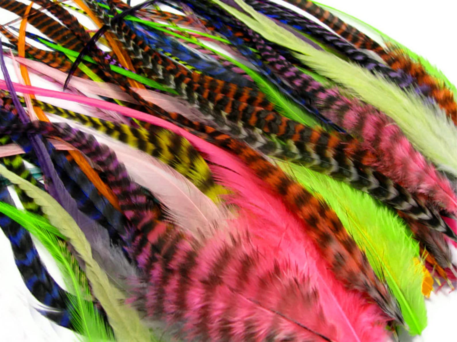 50 Pieces - Colorful Thick Long Rooster Saddle Whiting Farm Hair ...