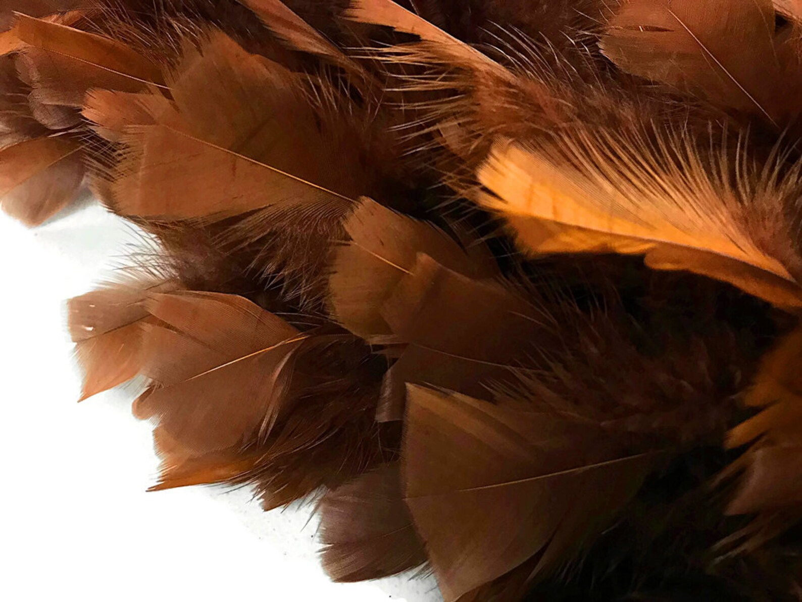 Turkey Feather Boa, 2 Yards - Brown Turkey Flat Heavyweight Feather Boa ...