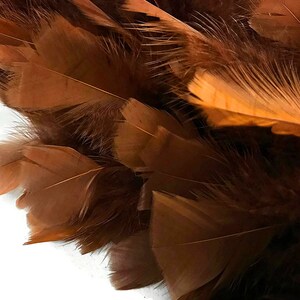 Turkey Feather Boa, 2 Yards - Brown Turkey Flat Heavyweight Feather Boa ...