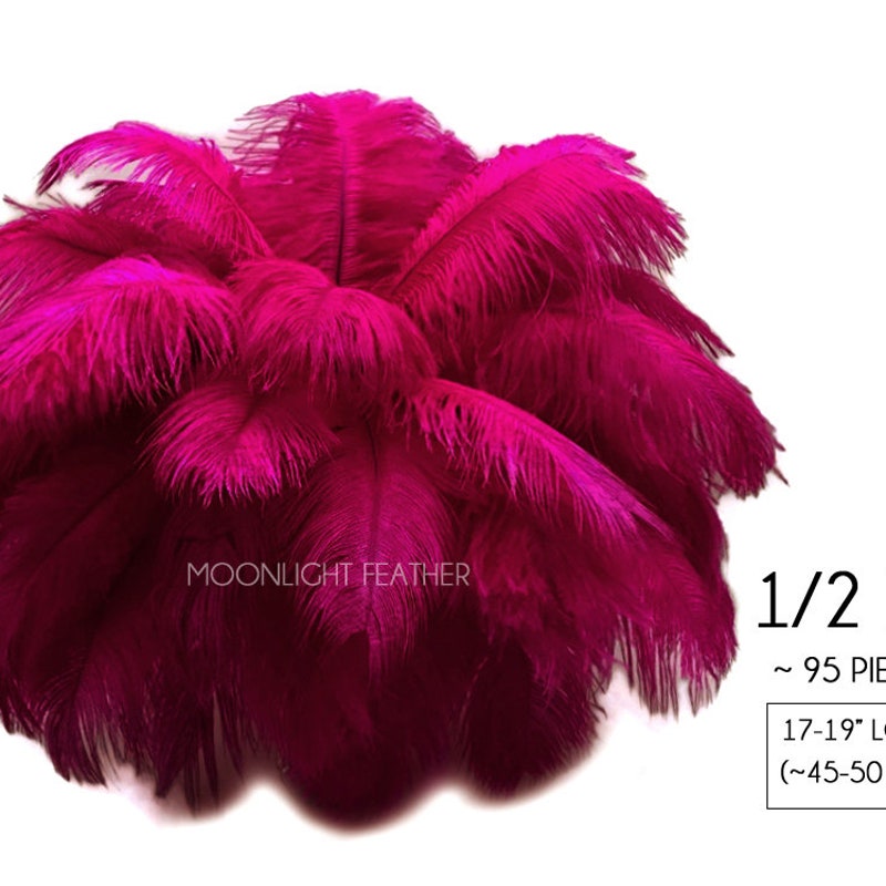 Emu Halloween Costume - Etsy