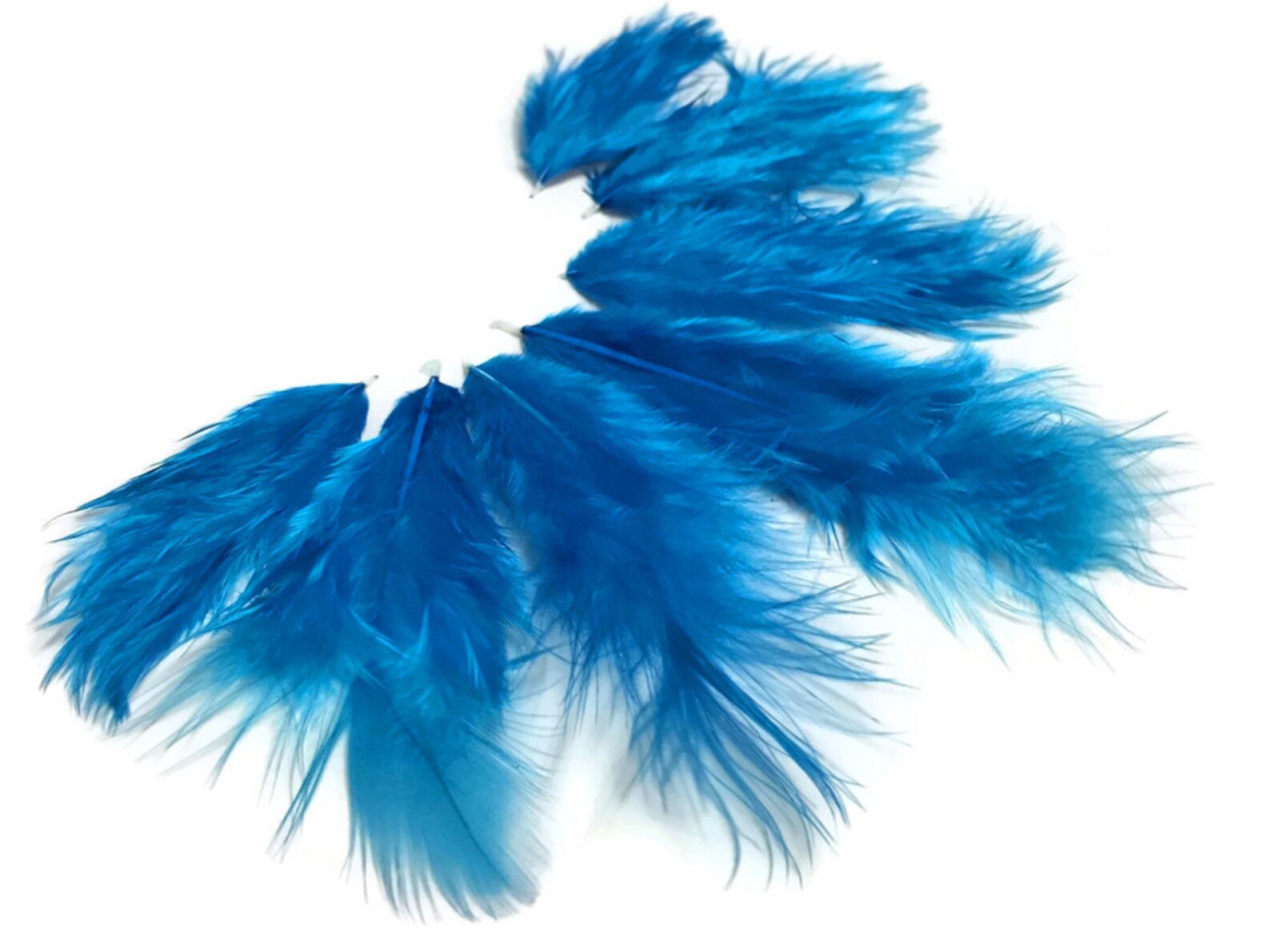 Small Chickabou Feathers, 1 Dozen - Solid Turquoise Blue Rooster ...