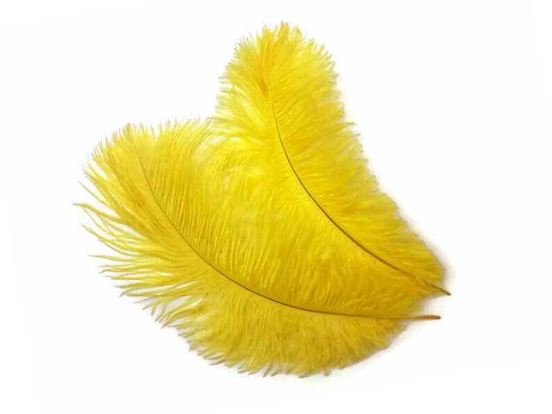 Extra Large Ostrich Feathers, 10 Pieces - 19 - 24" Yellow Ostrich Dyed ...