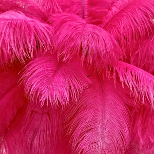 Pink Ostrich Feathers, 10 Pieces - 19 - 24" Hot Pink Ostrich Dyed Drabs ...