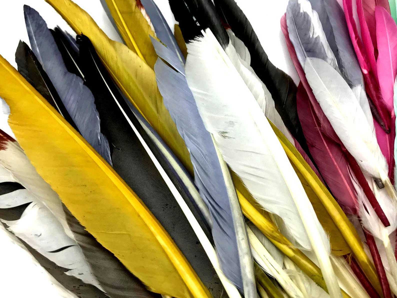 Goose Feathers 1/4 Lb. Red Goose Pointers Long Primaries - Etsy