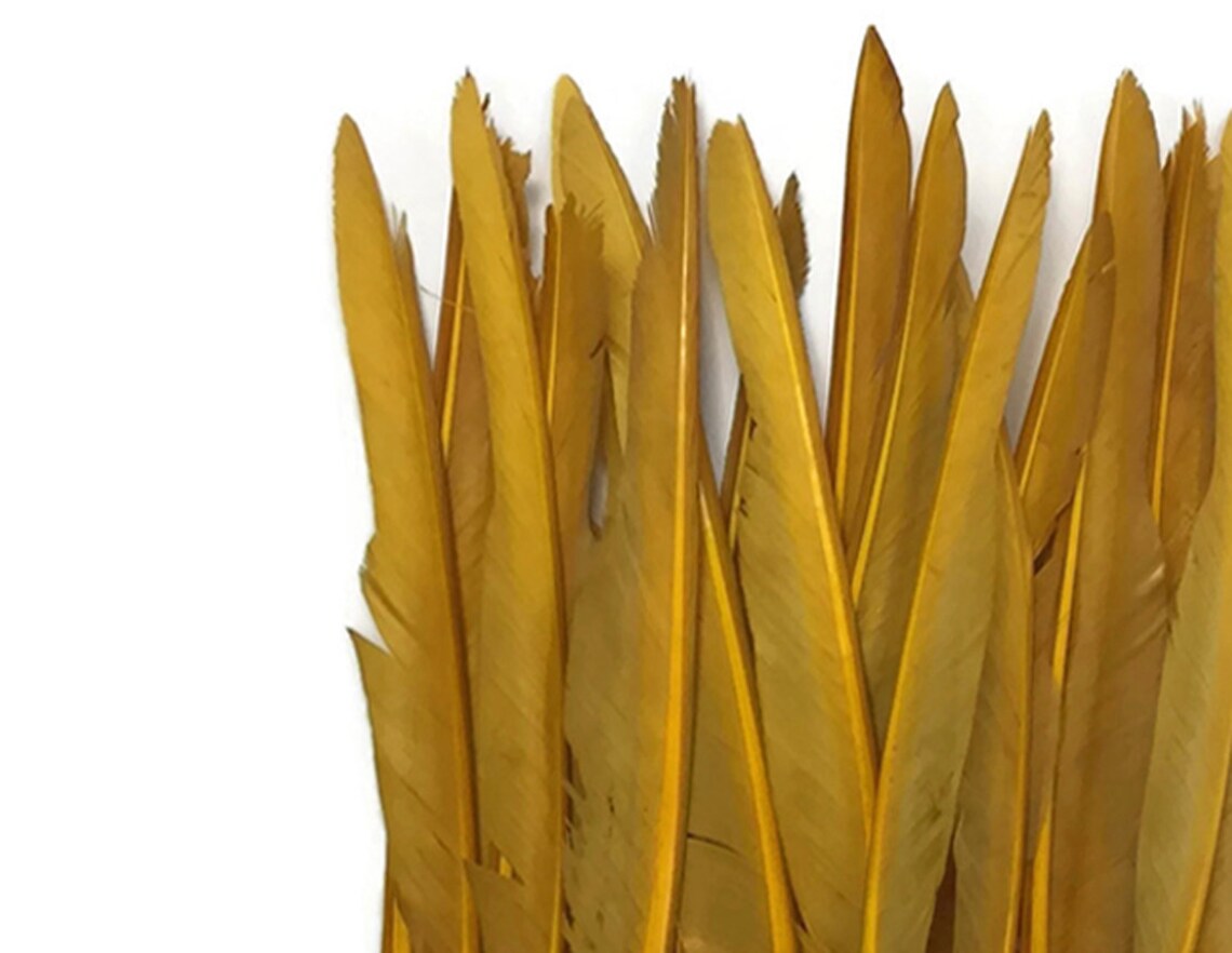 Goose Feather, 1/4 Lb. - Antique Gold Goose Pointers Long Primaries ...