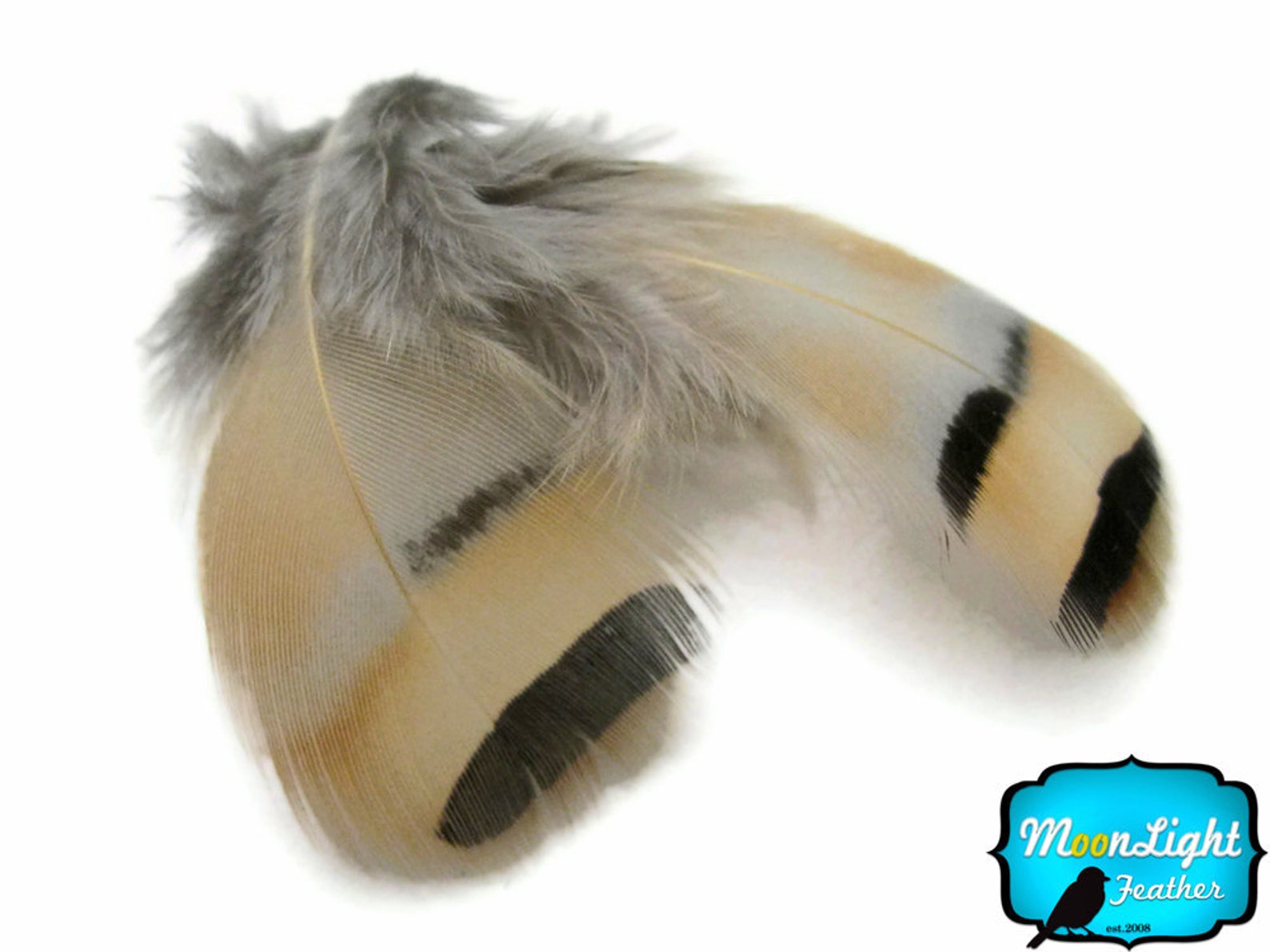 Chukar Feathers, 1 Pack - NATURAL CHUKAR PARTRIDGE Hen Feather 0.10 Oz ...