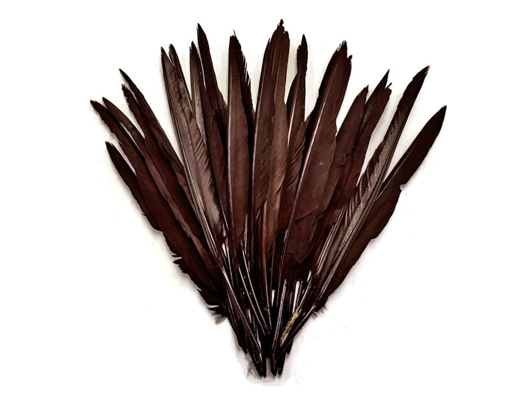 Wing Feathers, 1/4 Lb. Brown Goose Pointers Long Primaries Wing ...