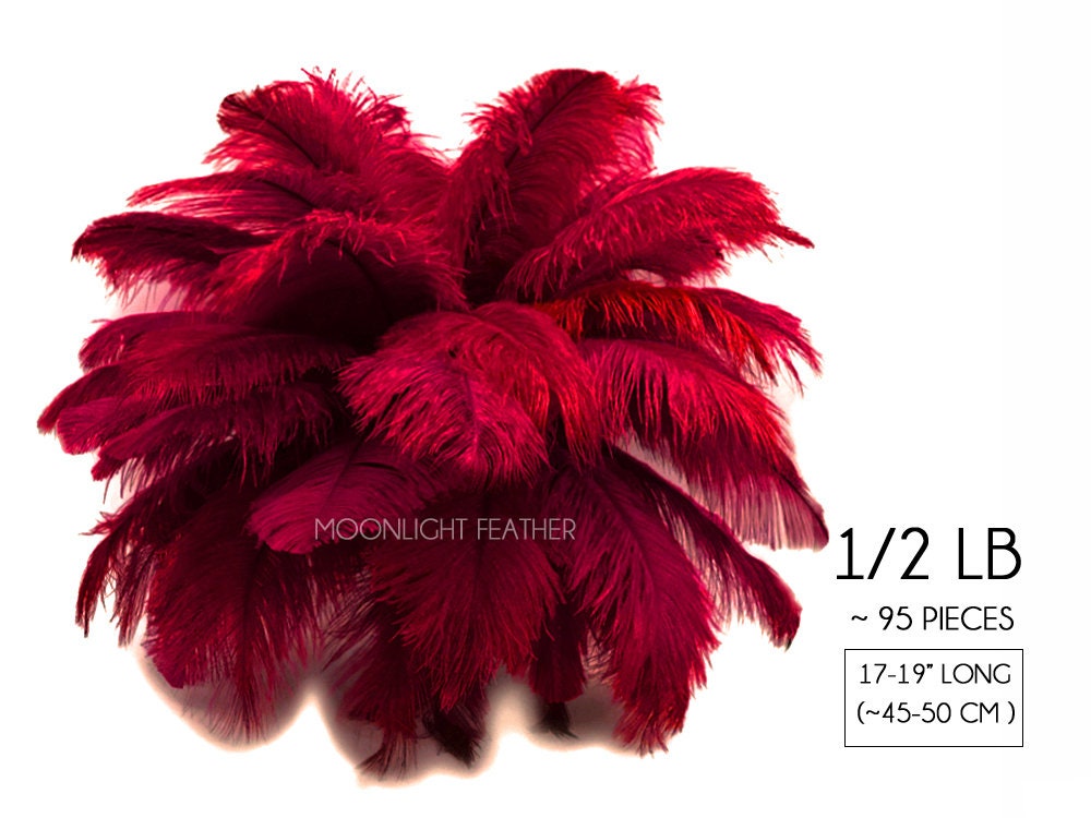 Burgundy ostrich feathers store