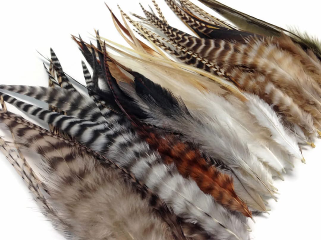50 Pieces - Natural Medium Length Rooster Hair Extension Feathers ...