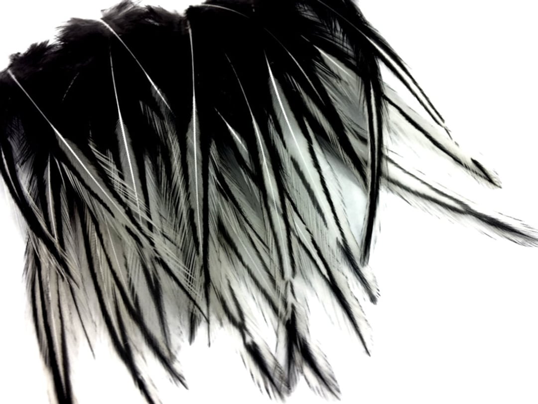 Laced Feathers, 10 Pieces - Natural White BLW Laced Short Rooster Cape ...