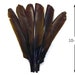 Raven Wing Feathers 1/4 Lb Brown Turkey Pointers Quill Wing - Etsy
