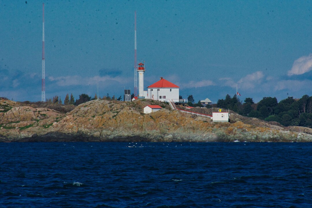 Film Grain Lighthouse by Ocean Digital Download - Etsy