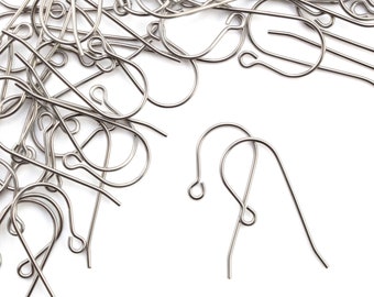 Titanium Ear Wires 10 Pairs With Outside Loop Made in the | Etsy