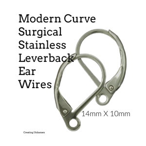 5 Pairs Modern Curve Surgical Stainless Steel Leverback Ear Wires ...