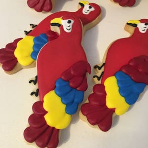 Margaritaville Parrot Cookies 1 Dozen - Etsy