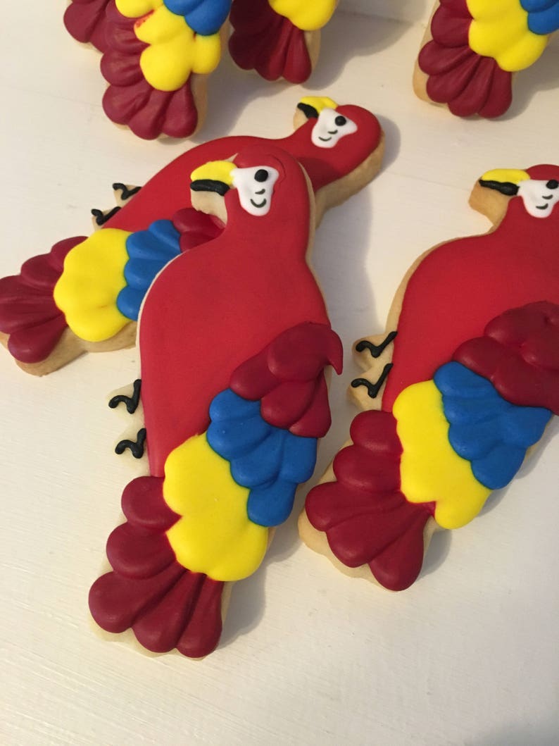 Margaritaville Parrot Cookies 1 Dozen - Etsy