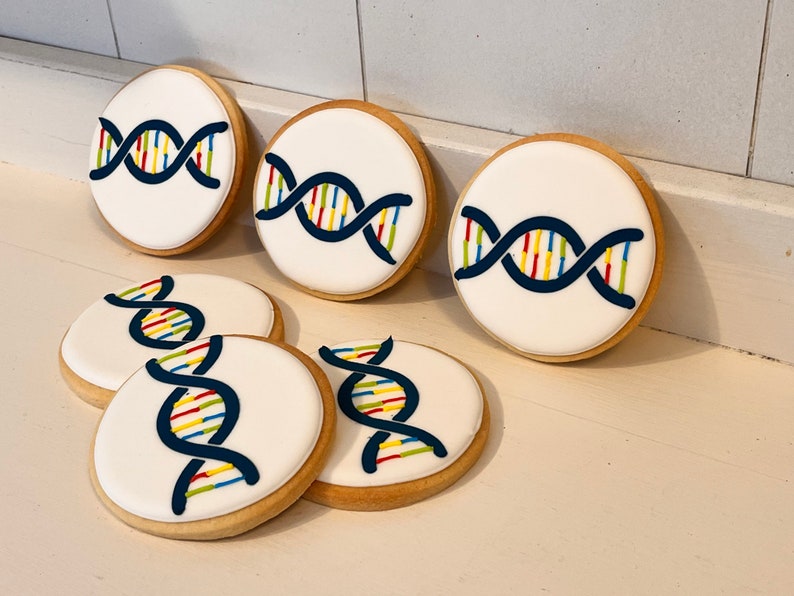 DNA Double Helix Science Cookies - 1 Dozen - Etsy