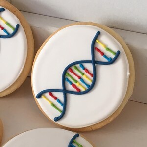 DNA Double Helix Science Cookies 1 Dozen - Etsy