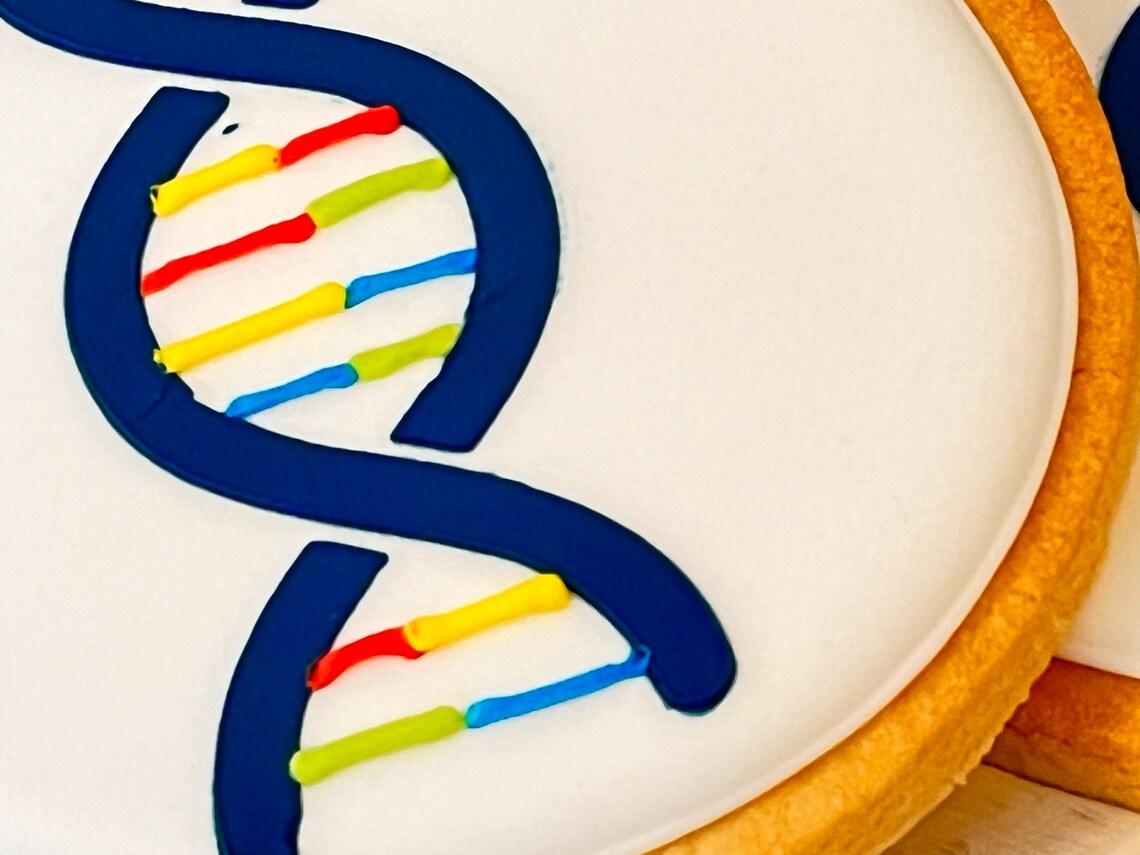 DNA Double Helix Science Cookies 1 Dozen - Etsy