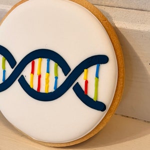 DNA Double Helix Science Cookies - 1 Dozen - Etsy