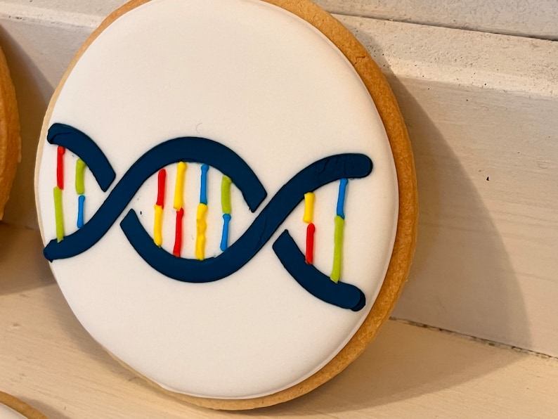 DNA Double Helix Science Cookies - 1 Dozen - Etsy