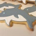 Dolphin Hand Decorated Sugar Cookies - Etsy