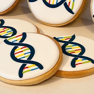 DNA Double Helix Science Cookies - 1 Dozen - Etsy