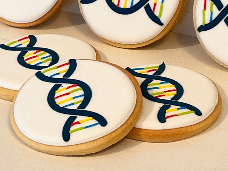 DNA Double Helix Science Cookies - 1 Dozen - Etsy